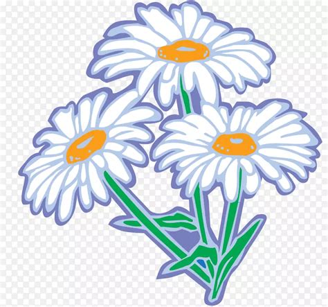 Jpegpng Png Png