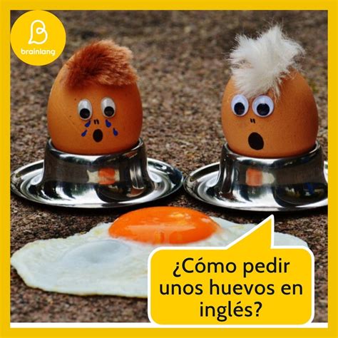Échale huevos al inglés 7 tipos de huevos en inglés