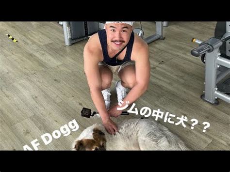 初投稿 フォリピン筋トレ gym in Philippine YouTube