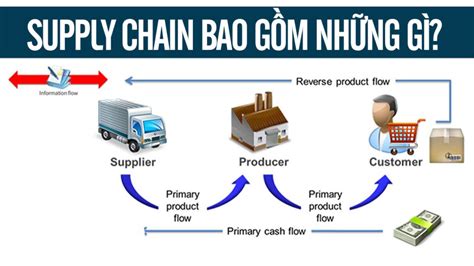 Supply Chain Bao Gồm Những Gì Ví Dụ Cụ Thể VinaTrain Việt Nam