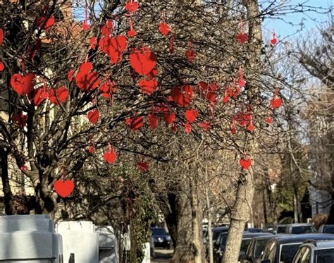 Iubirea plutește în aer la București Unde se află vestitul copac plin