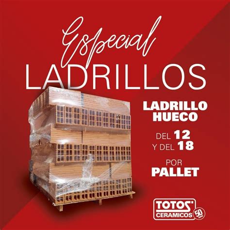 Ladrillos Huecos 12x18x33 Por Pallet De 144 Unidades Totos TOTOS