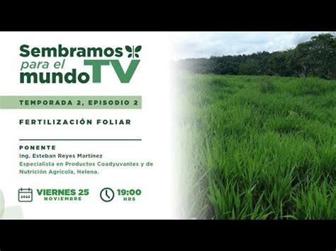 Fertilización foliar YouTube