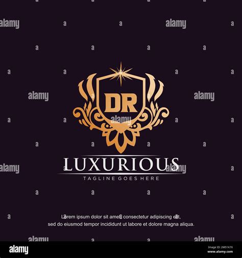DR Initial Letter Luxury Ornament Gold Monogram Logo Template Vector