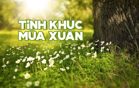 Ca khúc Tình Khúc Mùa Xuân của nhạc sĩ Ngô Thụy Miên Tình yêu đó