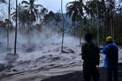 Banjir Lahar Semeru ANTARA News Bengkulu
