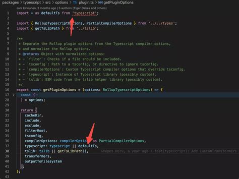 会写 typescript 但你真的会 ts 编译配置吗？ typescript omit