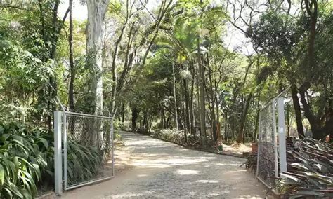 Mulher se finge de morta após ser agredida e estuprada em parque