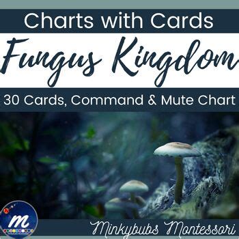 Fungi Kingdom Fungus Kingdom Classification Chart Large Format With Cards