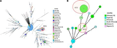 Frontiers Molecular Epidemiology And Antimicrobial Susceptibility Of