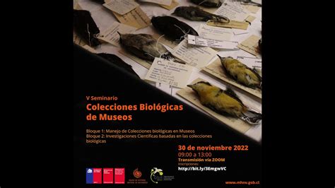 V Seminario Colecciones Biol Gicas De Museos Youtube
