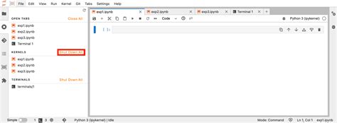 Posit Workbench User Guide Managing Jupyter Kernels In JupyterLab