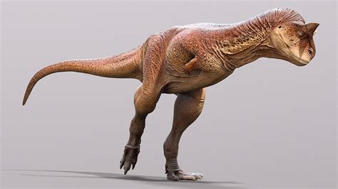 Cientistas revelam a pele fossilizada de um dinossauro carnívoro