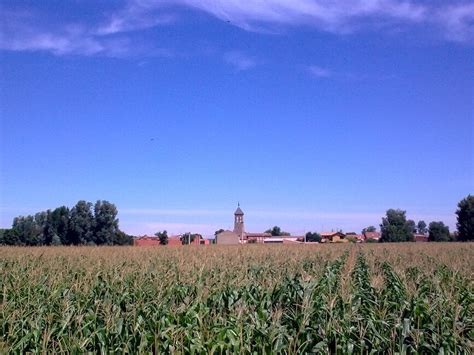 Casas rurales en Cabreros del Río León