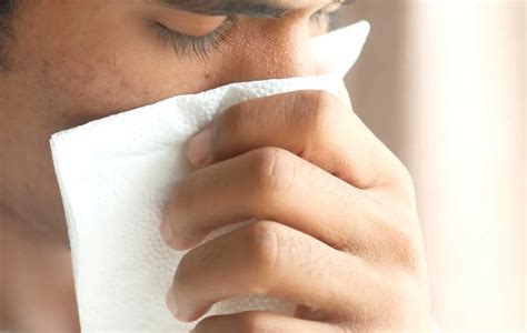 Confirman primera muerte humana mundial por gripe aviar H5N2 en México