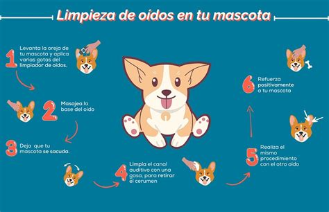 OTITIS EN PERROS