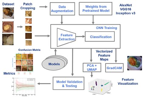 process followed for training the deep learning models data download scientific diagram