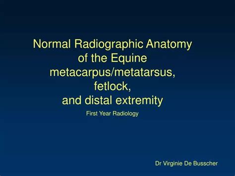 Ppt Normal Radiographic Anatomy Of The Equine Metacarpus Metatarsus