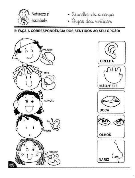 40 Atividades Sobre Os Cinco Sentidos Para Imprimir Atividades De