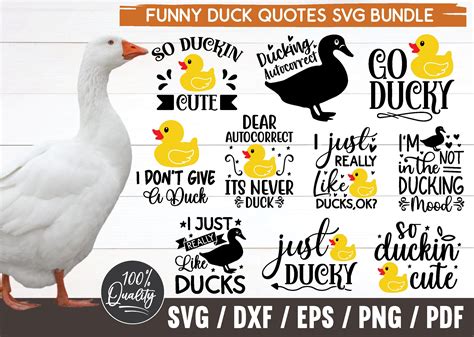 Funny Duck Quotes Svg Bundle Graphic By FunnySVGmax Creative Fabrica