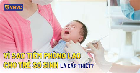 Nhu Thuat Quan Sat Tiem Ly Sinh Tu Store Emergencydentistry