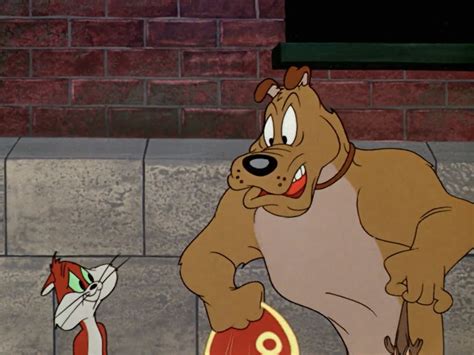 Chow Hound 1951