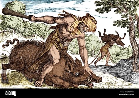 Hercules Greek Mythology 12 Labors