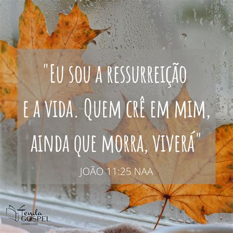 Eu sou a ressurreição e a vida Quem crê em mim ainda que morra