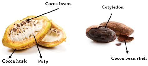 Cocoa By Products Encyclopedia MDPI