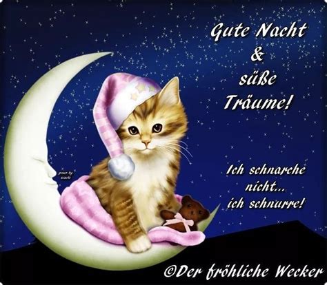 Pin von Jasmin Einert auf Gute Nacht Sprüche Gute nacht Gute nacht