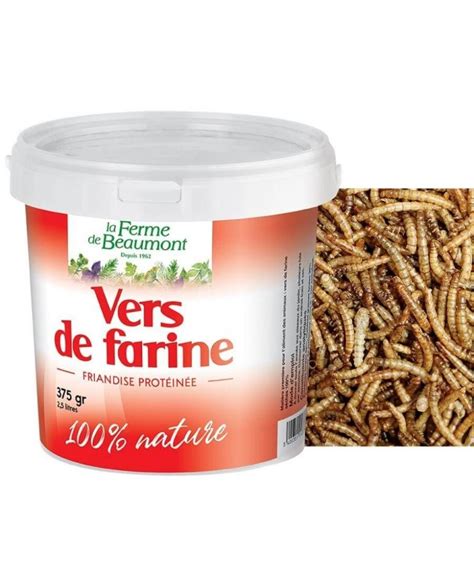 Élevages Lisard Vers de farine ver de farine okgo net