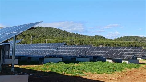 Endesa Pone En Servicio La Nueva Planta Solar De Ca Na Lloreta Con Una