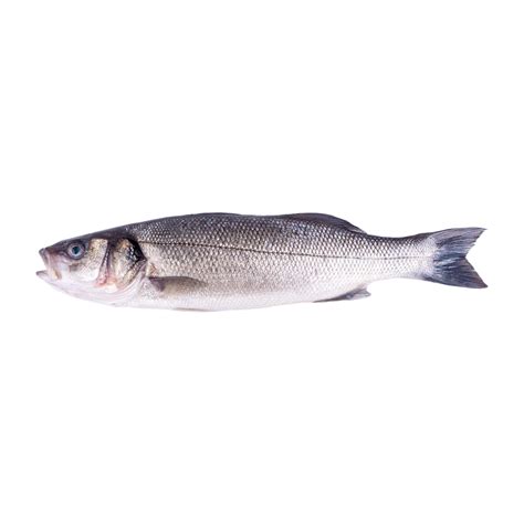 Product Seafood Pt Indosps Bogatama Sukses