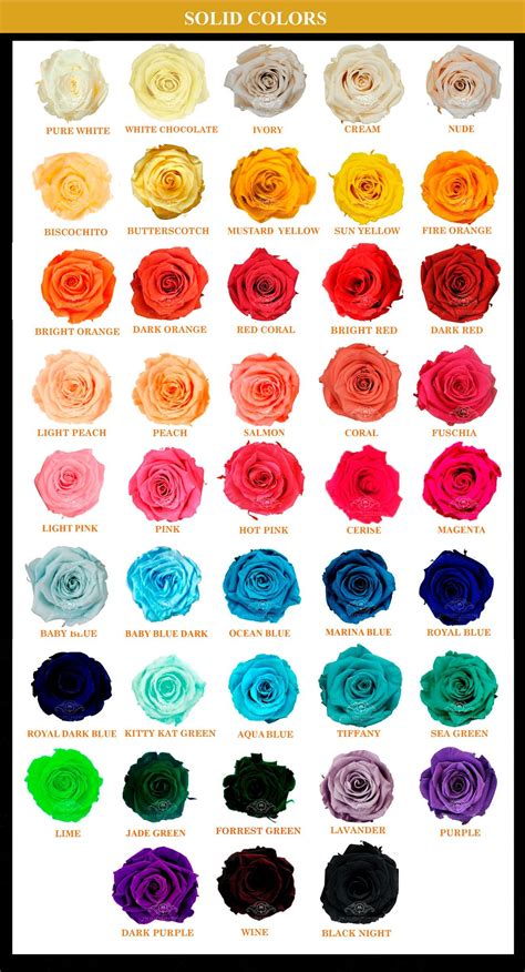 Wholesale Natural Preserved Roses Worldwide Shipping Everlastings
