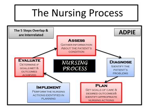 Semester 1 Fundamentals Of Nursing Flashcards Quizlet