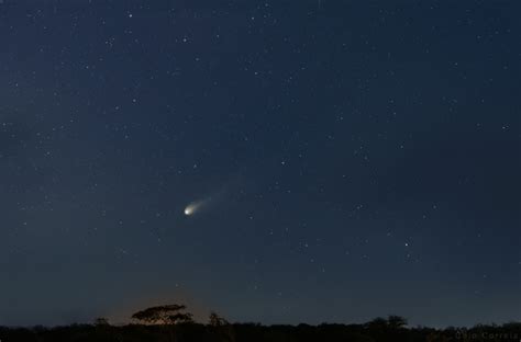 Cometa do Diabo poderá ser visto em todo o Brasil a partir de 21 de