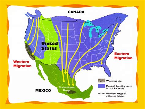 Monarch Butterfly Migration Map