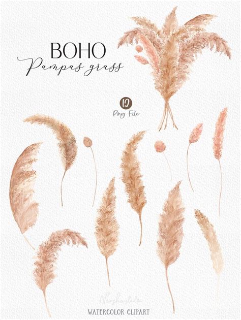 Pampas Grass Watercolor Clip Art Watercolor Pampas Grass Bouquet Dried