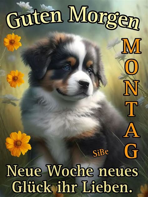 Pin von Amanda Schmierer auf Guten morgen Montag morgen grüße Montag