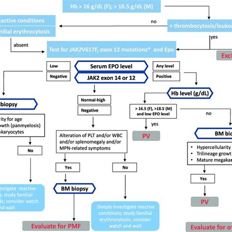 algorithm for evaluation of mpn phenotype with erythrocytosis test download scientific