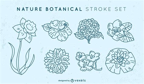 Vectores Gr Ficos De Flores Para Descargar