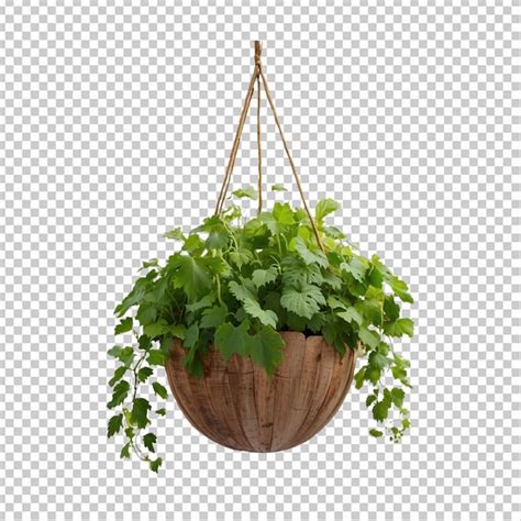 Premium PSD Potted Plant With Green Leaves