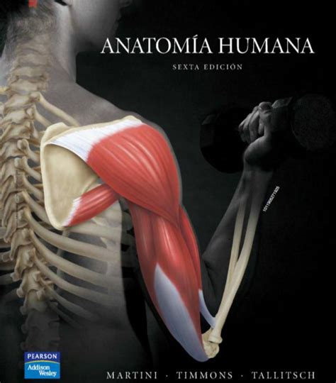 Ingebook Anatom A Y Fisiolog A Humana Ed
