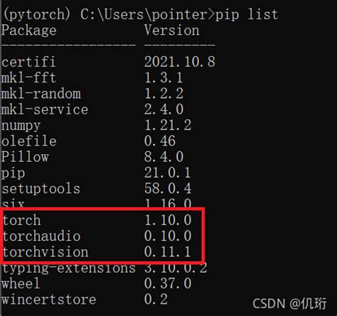 pytorch 安装（非英伟达显卡 win10 python3 8） python3 8安装pytorch csdn博客