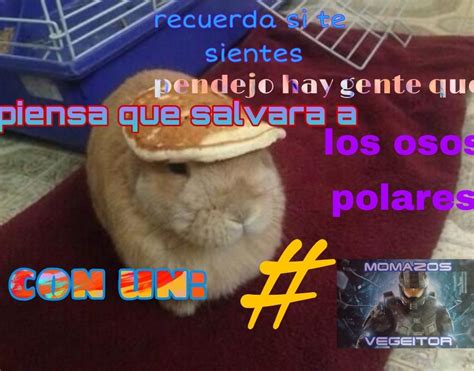 La Noticia Ya Es Algo Vieja Pero Tenia La Imagen Y Fue Lo Que Se Me