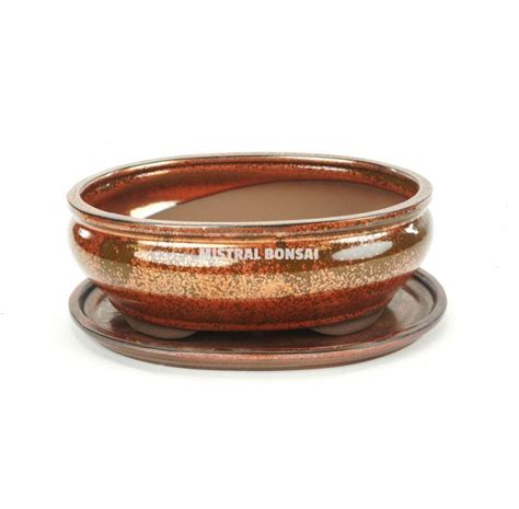 Tiesto oval para bonsái 26 5 cm con plato colores Mistral Bonsai