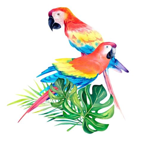 Loro guacamayo en la selva tropical monstera rama de palma composición