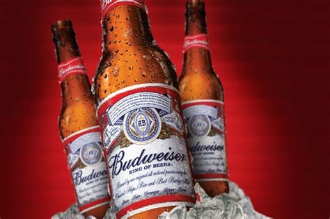 Rất Hay Tìm hiểu nồng độ cồn của bia budweiser tại Việt Nam