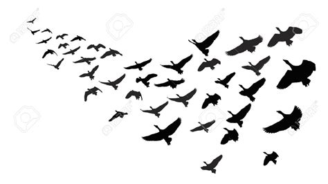 Bird Clipart Black And White Flying Clip Art Library