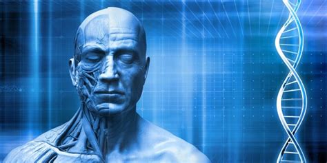 Ser Humano Concepto y teorías de su origen